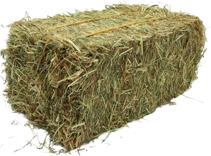 Conventional small Hay bale ( Bought In ) – Byhurst Farm Store